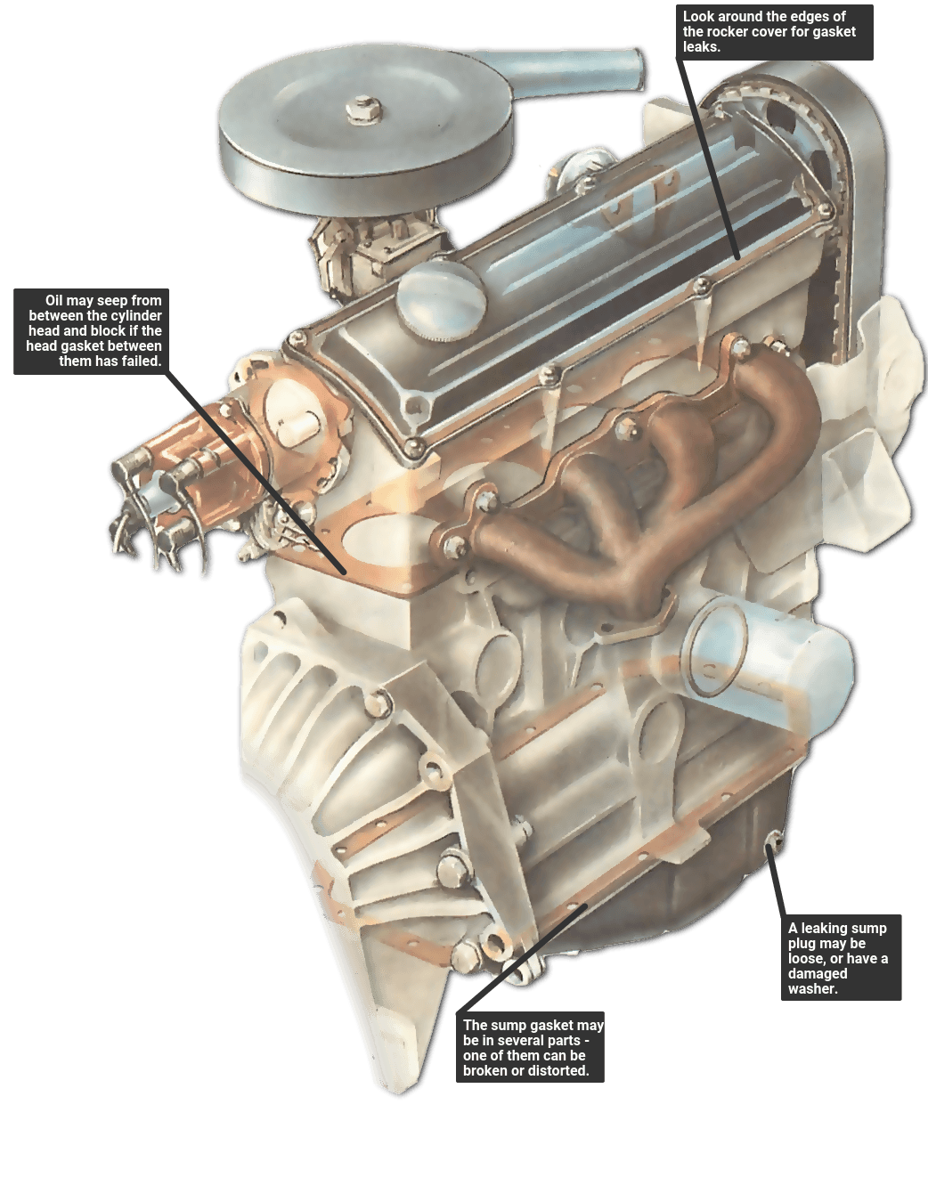 Crank Seal Leak Symptoms Crank By Design Crank Seal Leak Symptoms Crank By Design