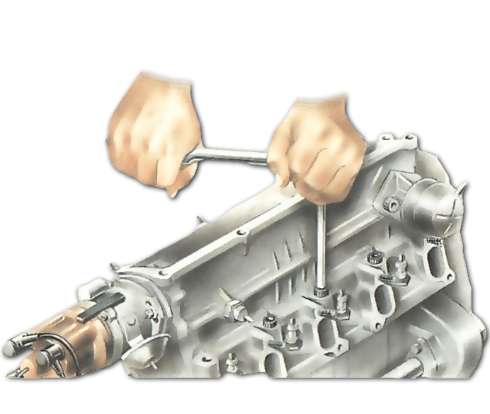 Illustration #774 from our guide